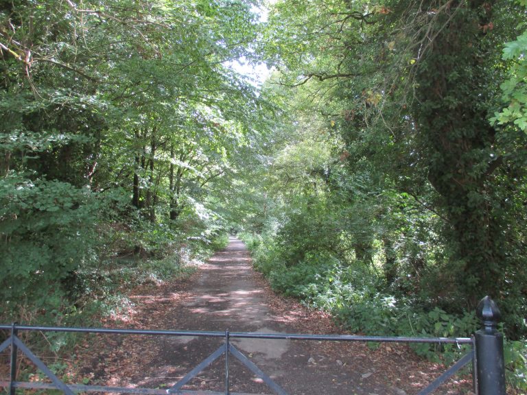 Mells Somerset | A guide (7 great things to see & do)