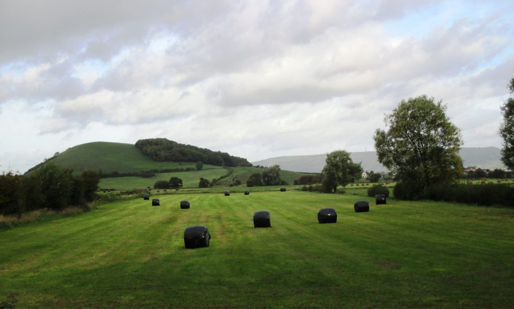 Wedmore Somerset | A guide to this historic village