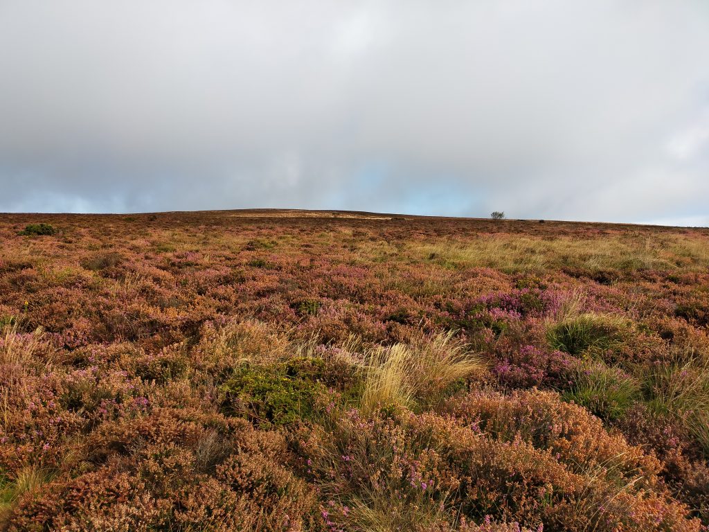 Dunkery Beacon | Somerset's highest point