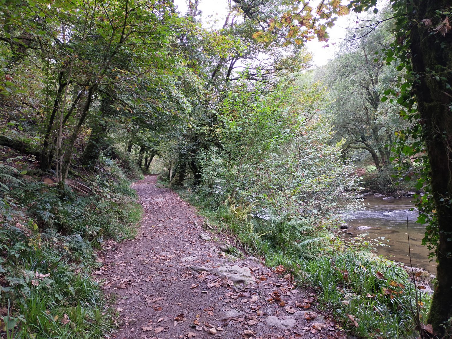 Tarr Steps | Car Parking & Walk information