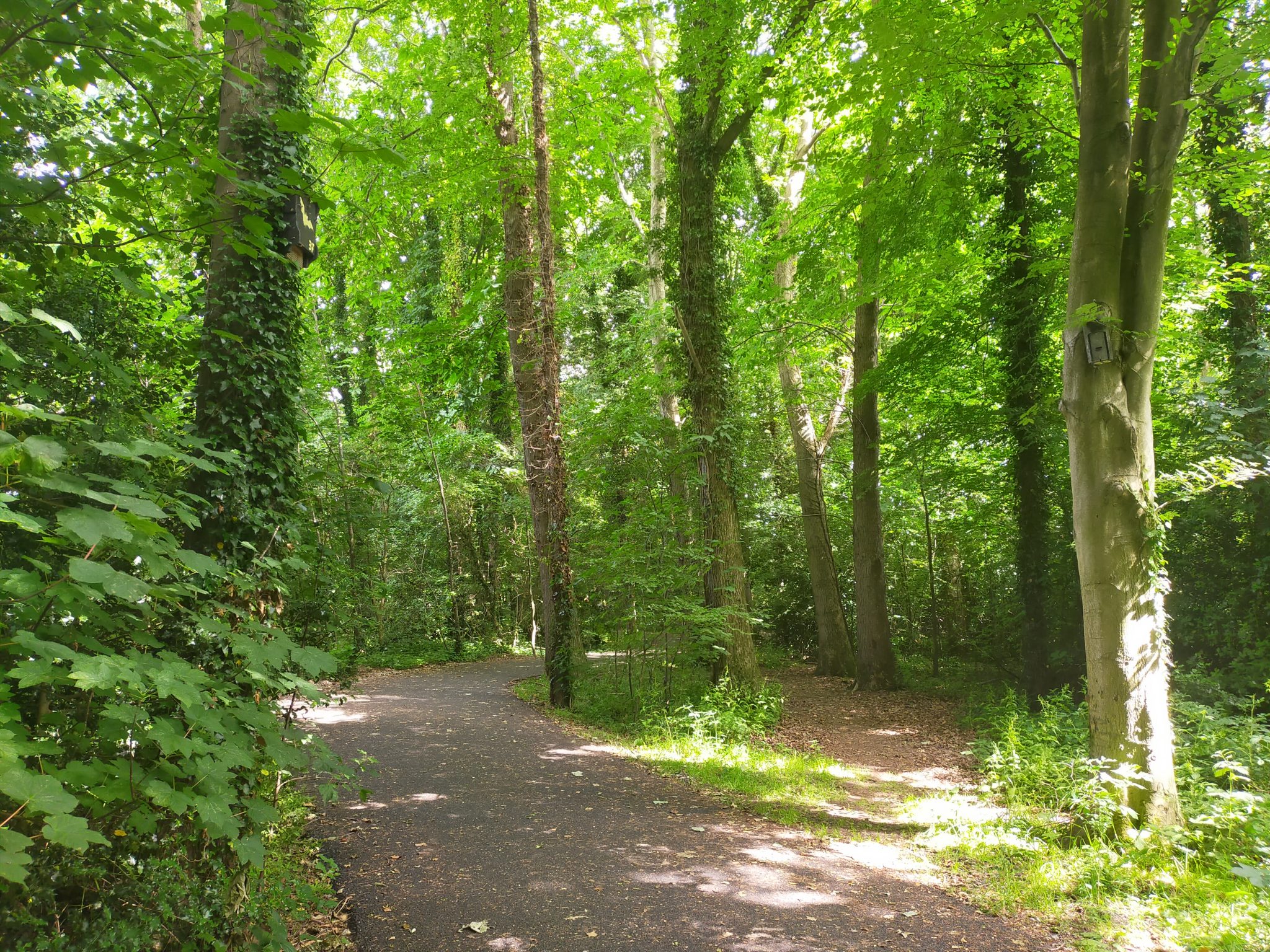 Chew Valley Lake | What to see & do