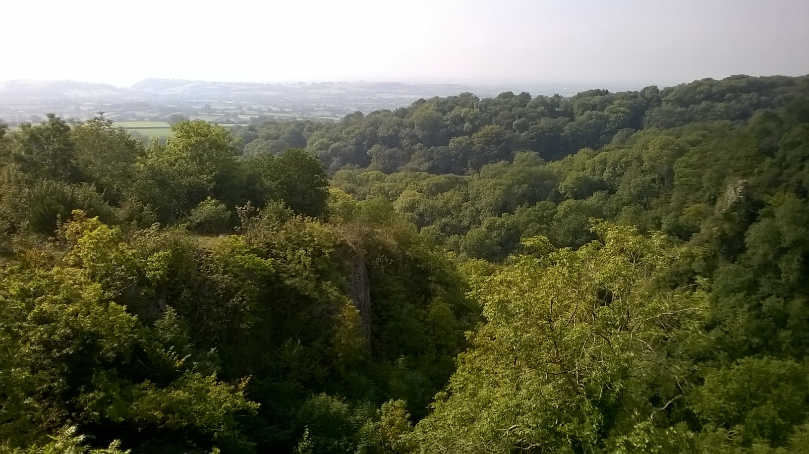 Ebbor Gorge | Stunning & free to visit!