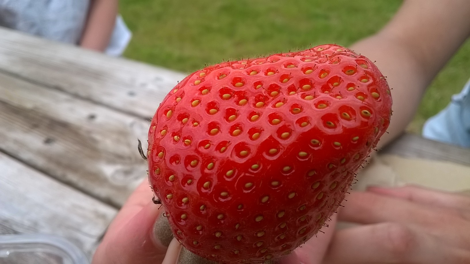 The Strawberry Line - its past and the hopes for its future